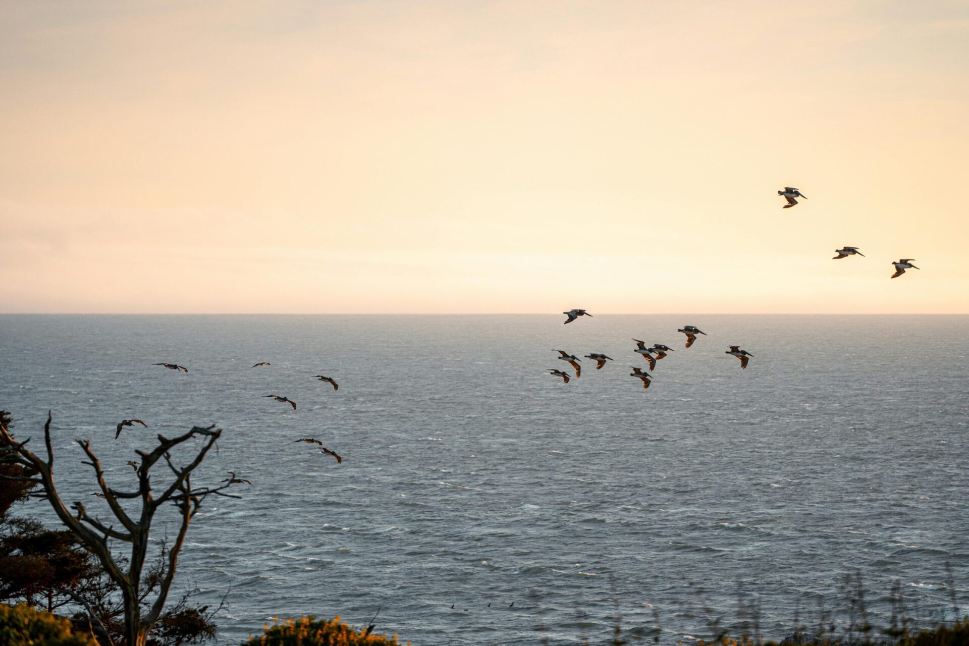 How Regenerative Tourism Is Redefining the Way We Explore the World ...